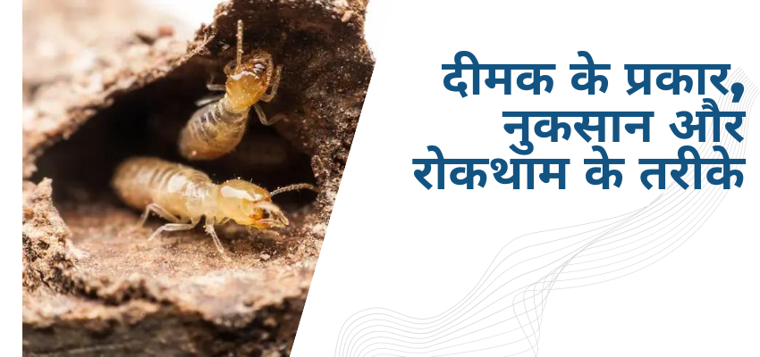 दीमक के प्रकार, नुकसान और रोकथाम के तरीके